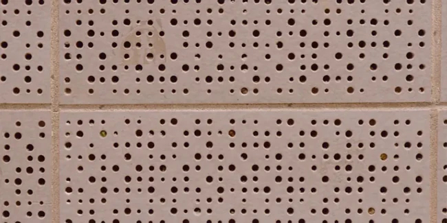 3 Reasons Why You Might Consider Perforated Acoustic Panels | IPS ...